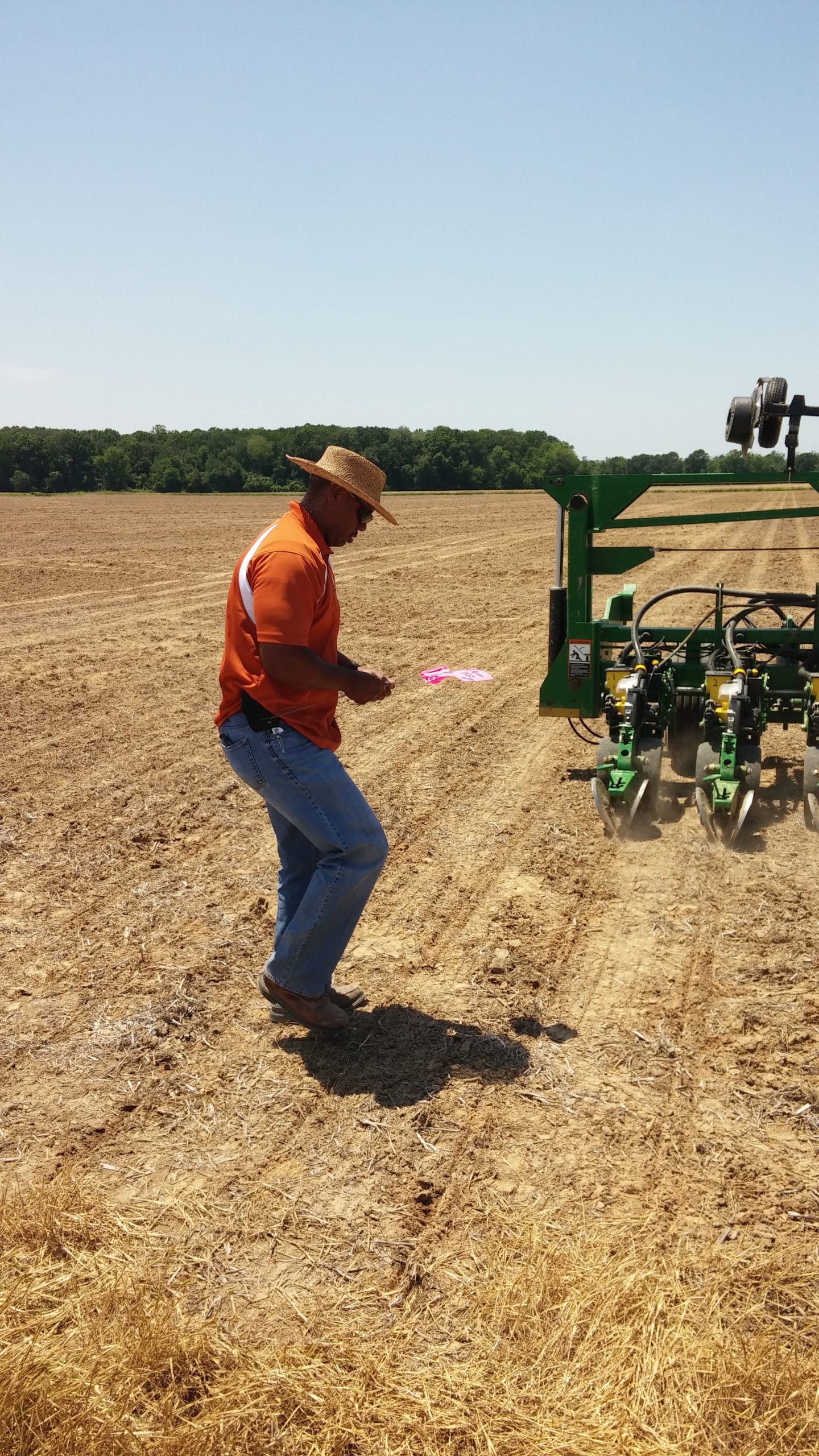 UT Test Plots | Lauderdale County